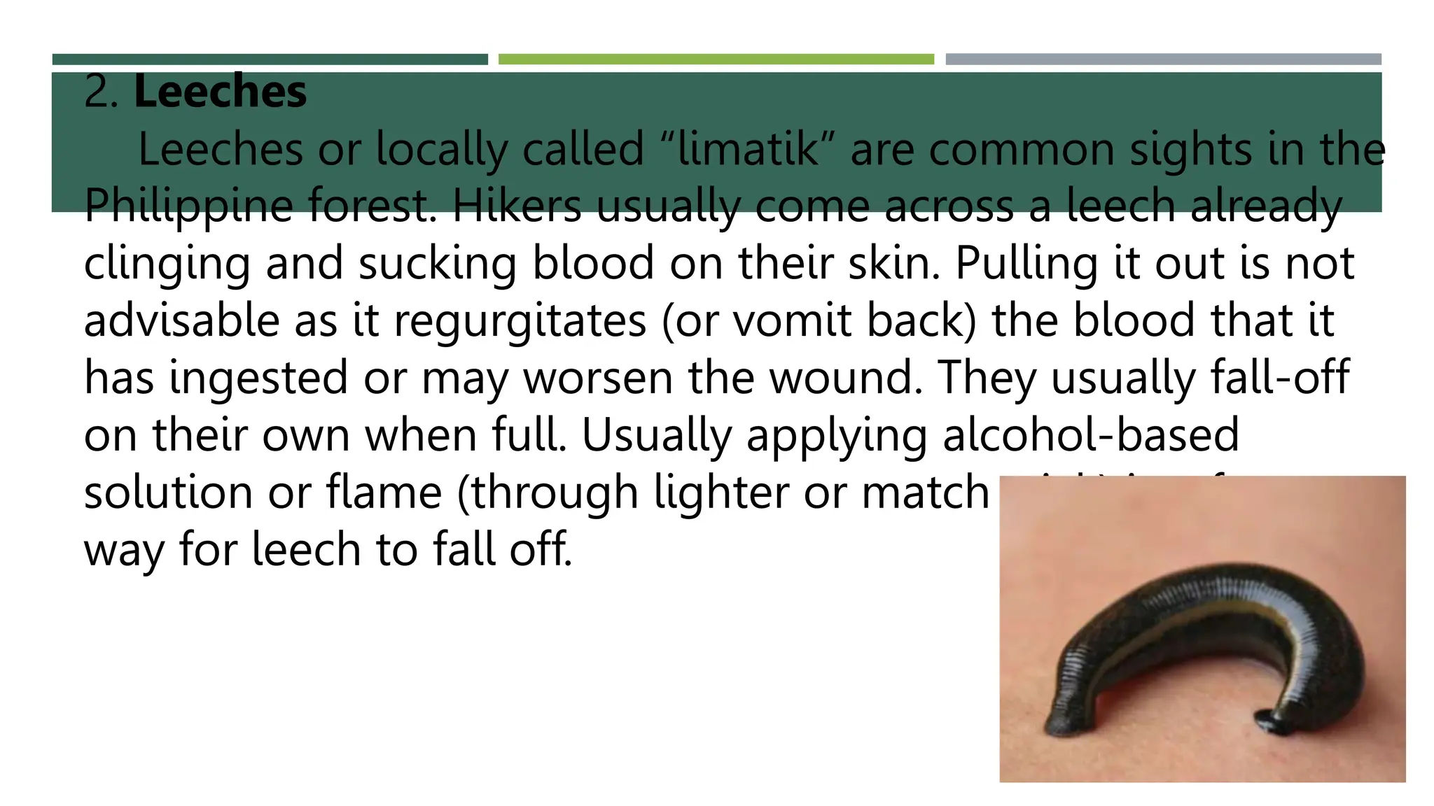 Aquatic Hazards PE Grade 12 Quarter 4.pptx