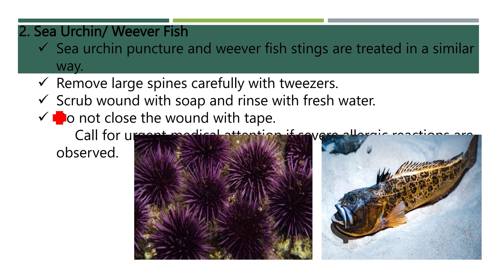 Aquatic Hazards PE Grade 12 Quarter 4.pptx