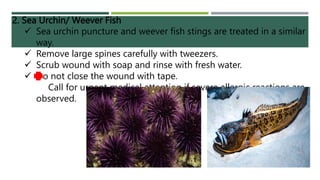 Aquatic Hazards PE Grade 12 Quarter 4.pptx