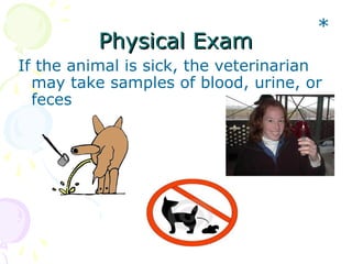 PE - Physical Exam.ppt animals vets science | PPT