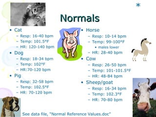 PE - Physical Exam.ppt animals vets science | PPT