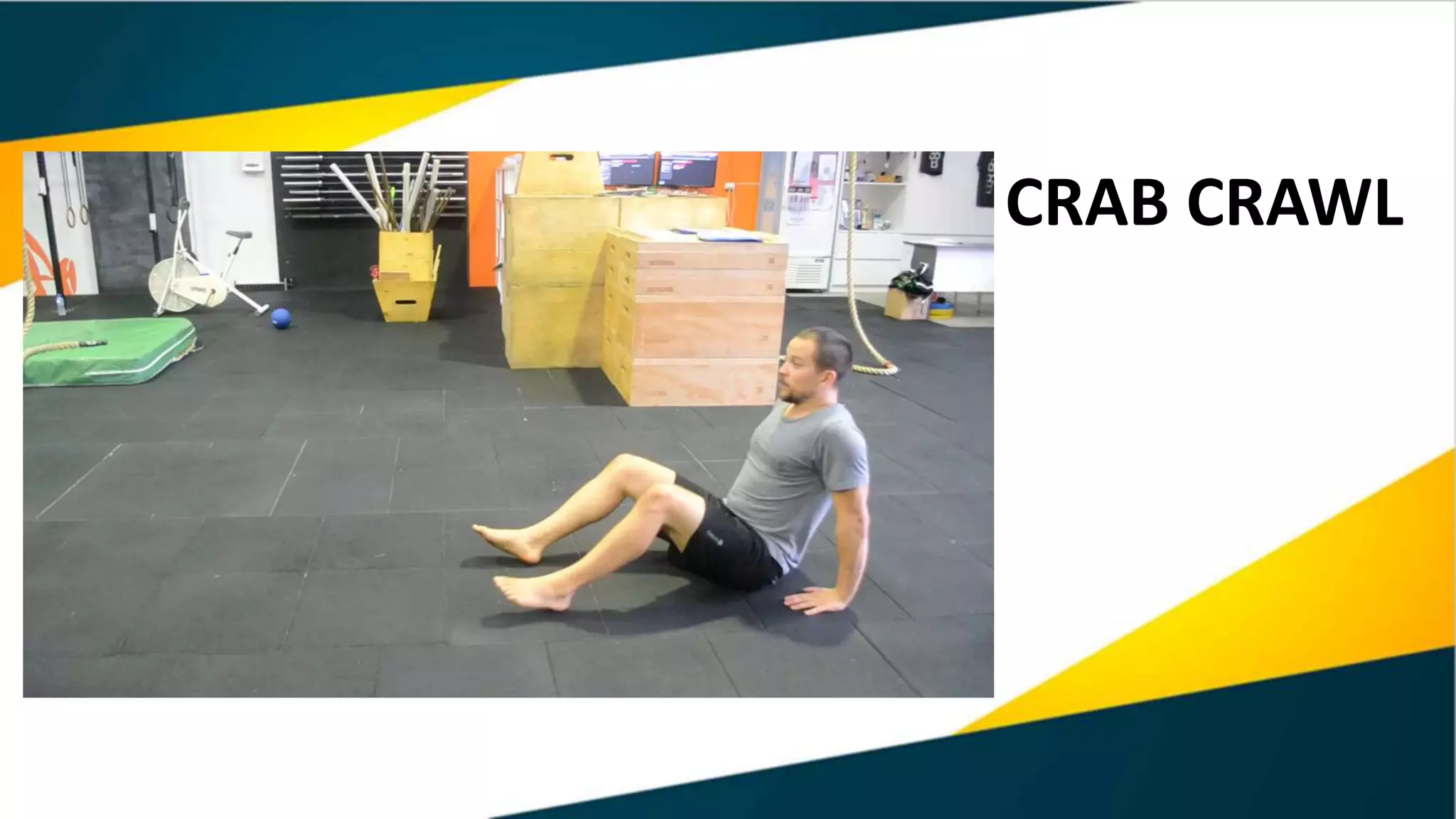 FUNDAMENTALS BODY MOVEMENTS | PPTX