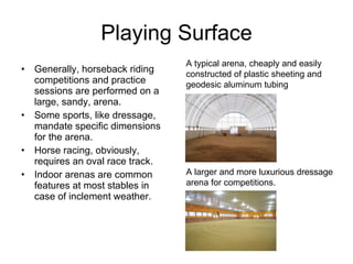 Finn's Horseback Riding Presentation | PPT | Equine Sports | Sports