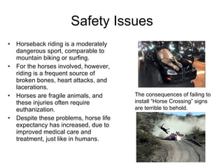 Finn's Horseback Riding Presentation | PPT