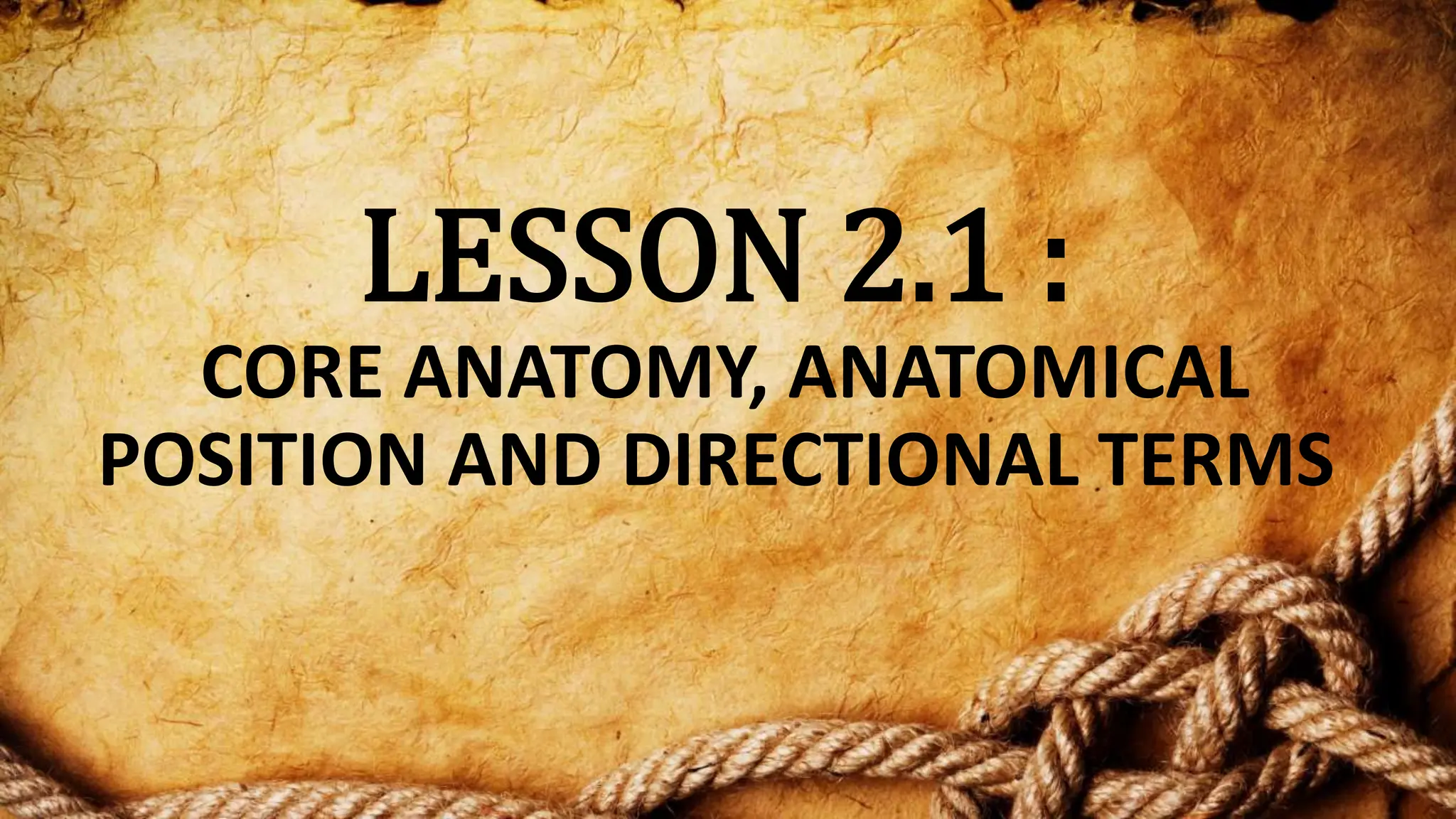 Physical eductn Anatomical position.pptx