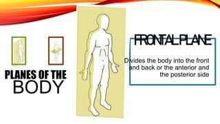 Physical eductn Anatomical position.pptx