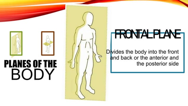 Physical eductn Anatomical position.pptx