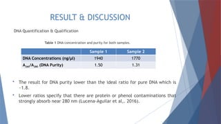 PE2 Presentation dna extraction and quantification | PPT