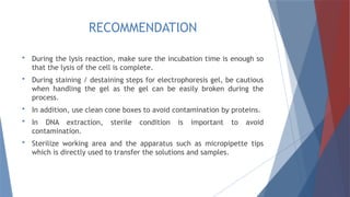 PE2 Presentation dna extraction and quantification | PPT