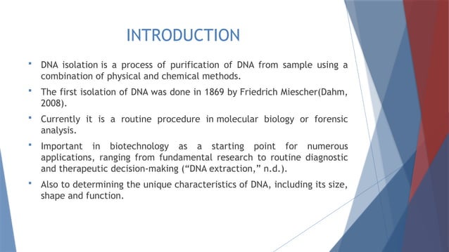 PE2 Presentation dna extraction and quantification | PPT
