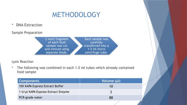 PE2 Presentation dna extraction and quantification | PPT