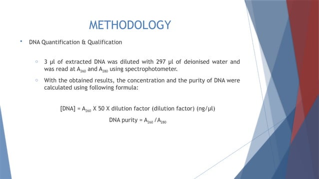 PE2 Presentation dna extraction and quantification | PPT