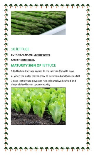 Maturity indecs of minor fruits and vegetables | DOCX