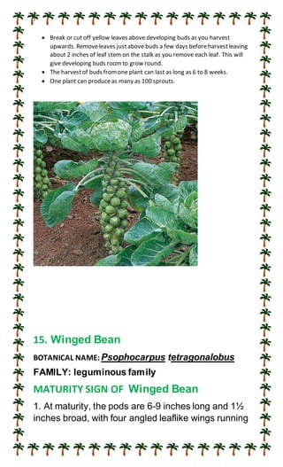 Maturity indecs of minor fruits and vegetables | PDF