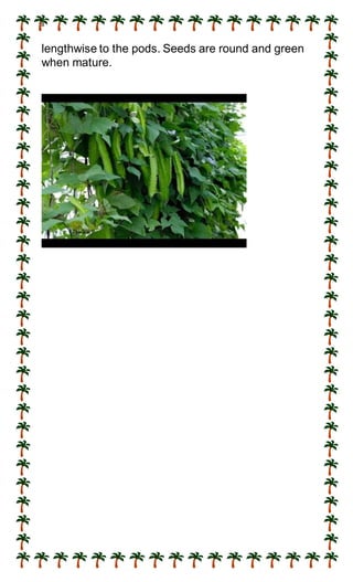 Maturity indecs of minor fruits and vegetables | PDF