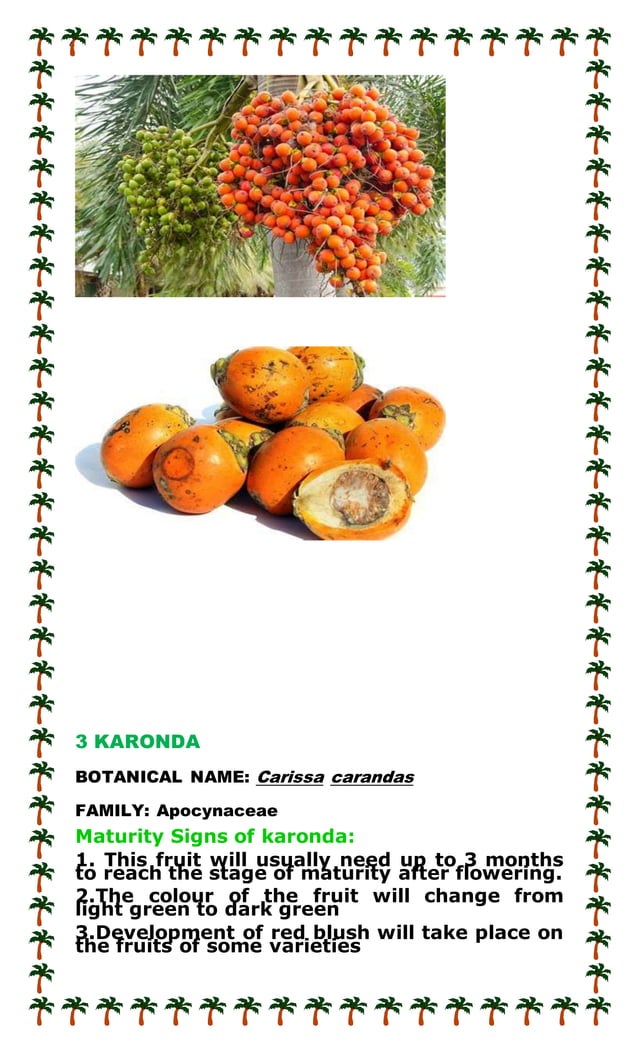 Maturity indecs of minor fruits and vegetables | PDF