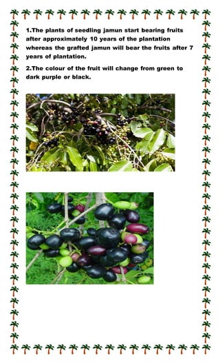 Maturity indecs of minor fruits and vegetables | PDF