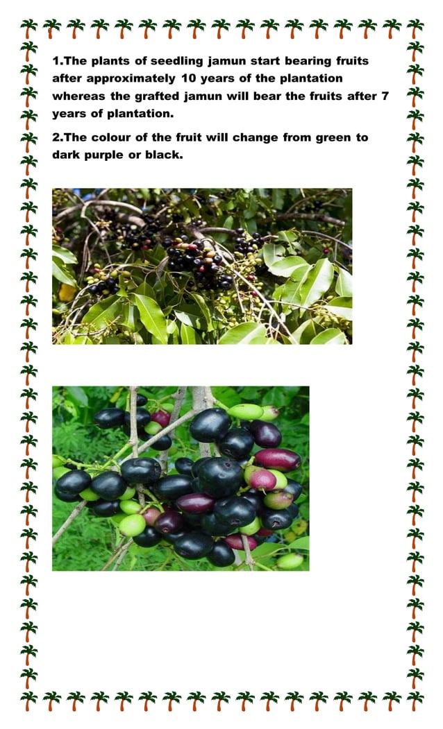 Maturity indecs of minor fruits and vegetables | PDF