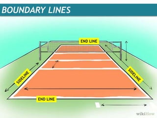 Understanding The Dimensions And Use Of Volleyball Court Lines ...