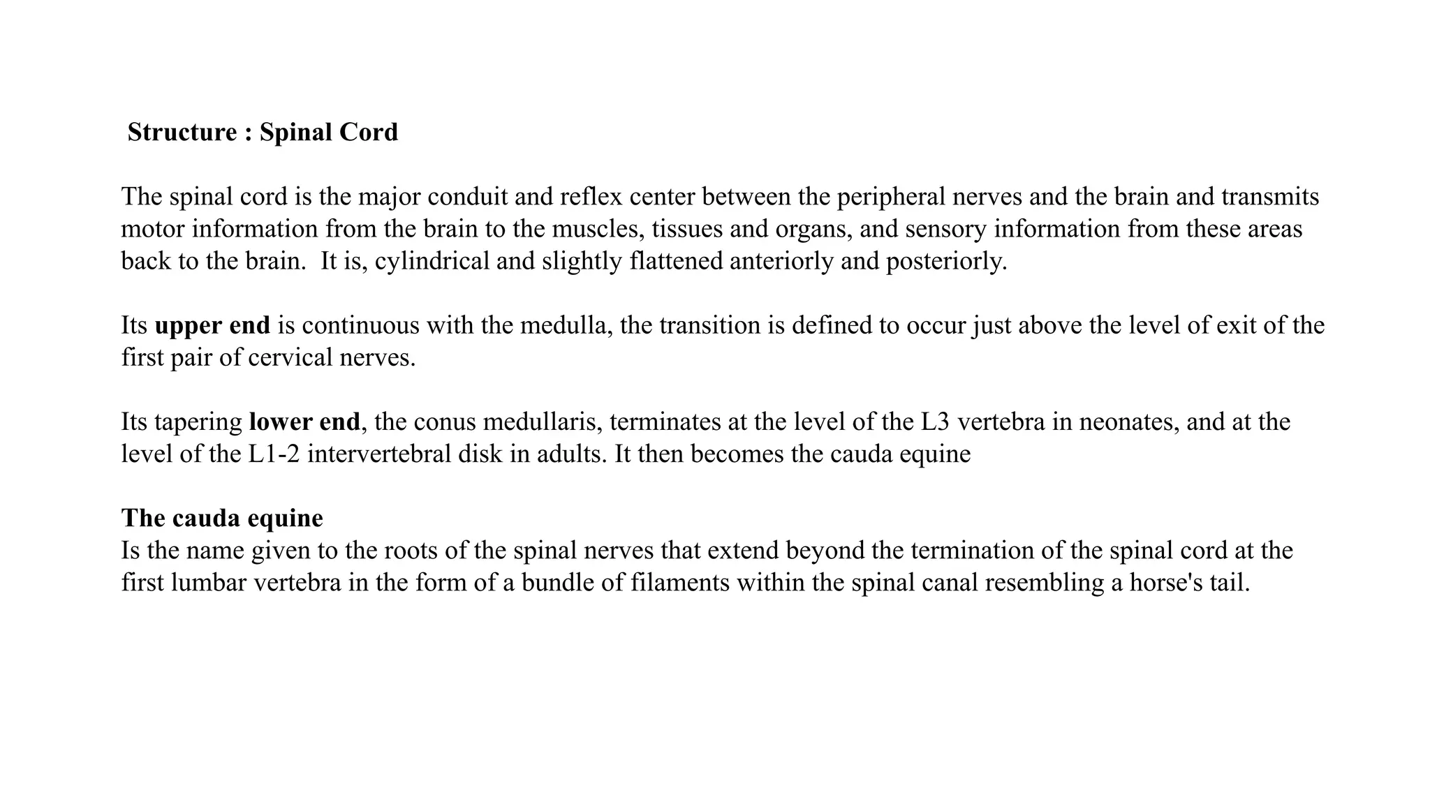 The Anatomy of Spinal Cord | PPTX