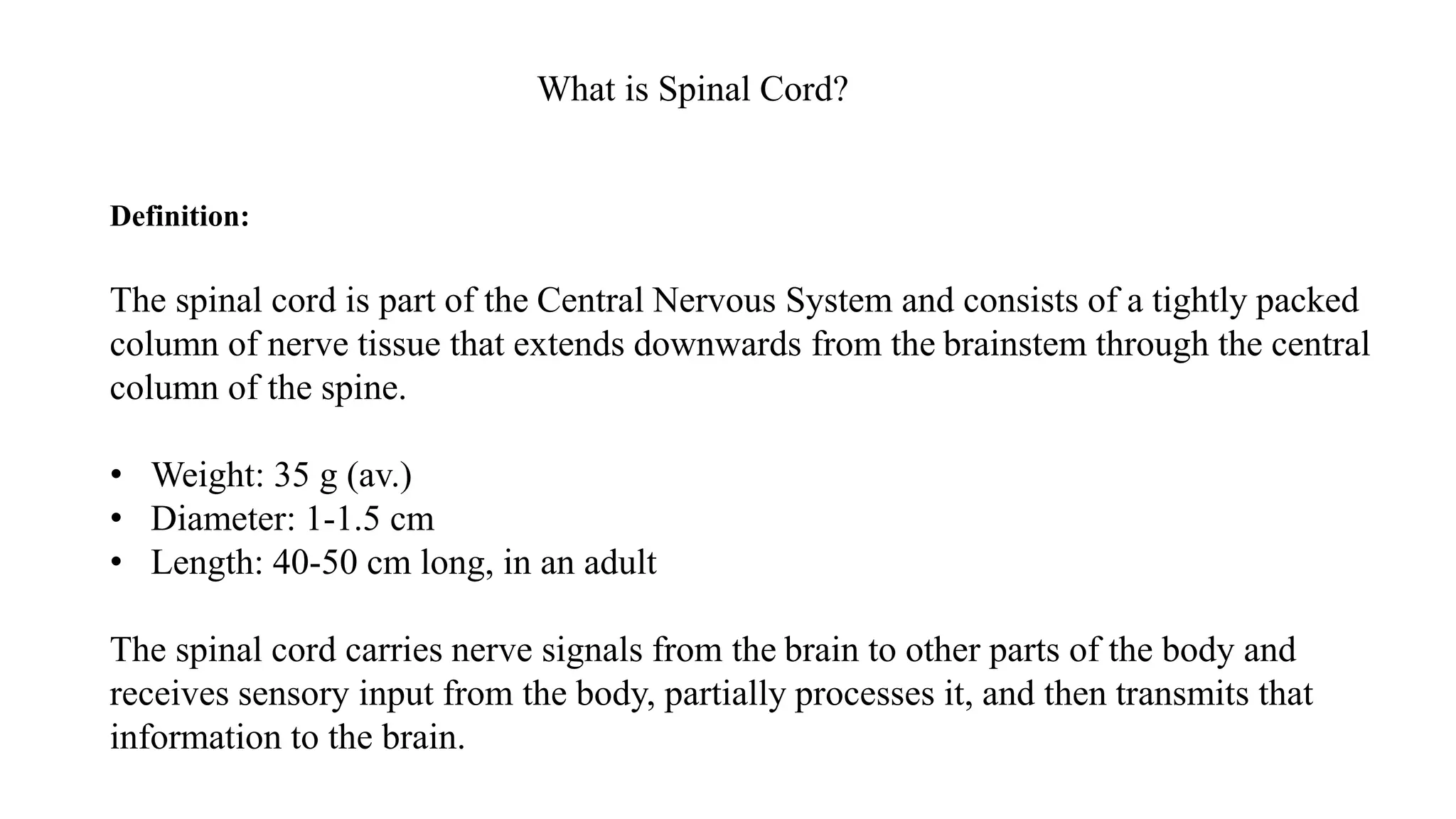 The Anatomy of Spinal Cord | PPTX