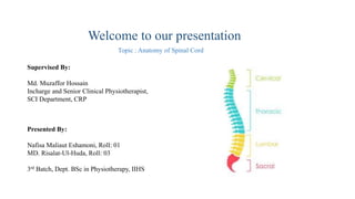 The Anatomy of Spinal Cord | PPTX