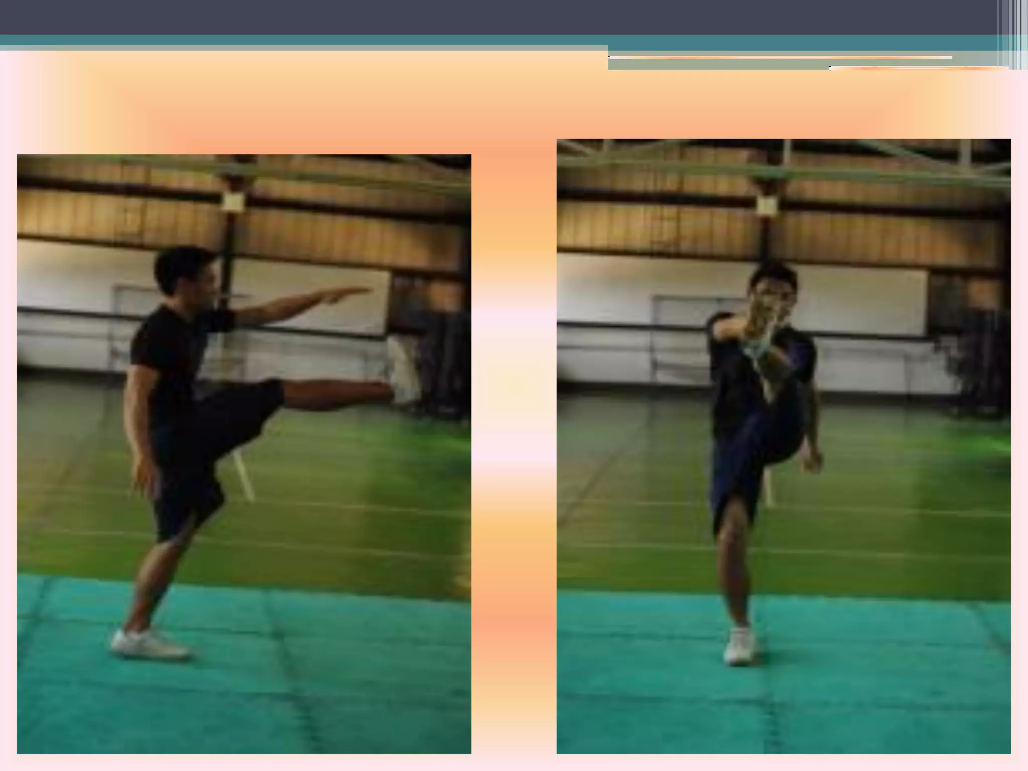 PE 7-2nd Quarter Arnis-Blocking Techniques | PDF