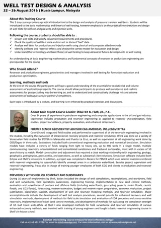 Well Test Design and Analysis | PDF