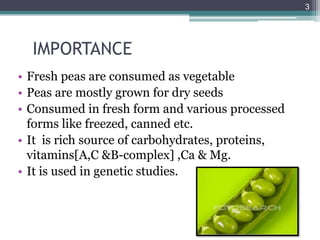 Pea | PDF