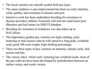 Pea | PPTX