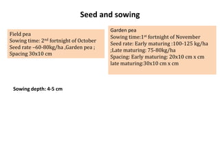 PEA all detail and package of practices - ppt.pptx