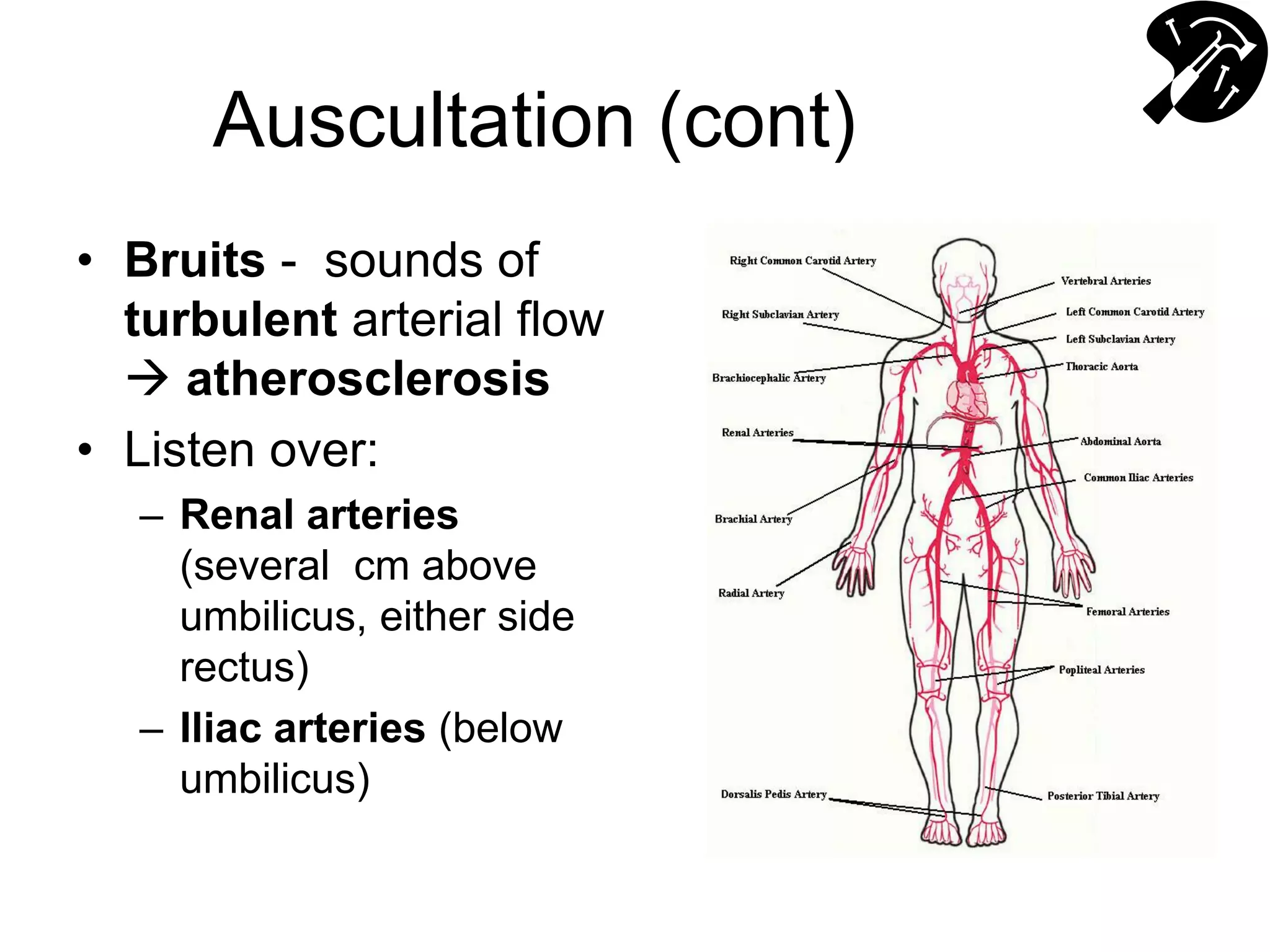 Pe abdominalexam | PDF
