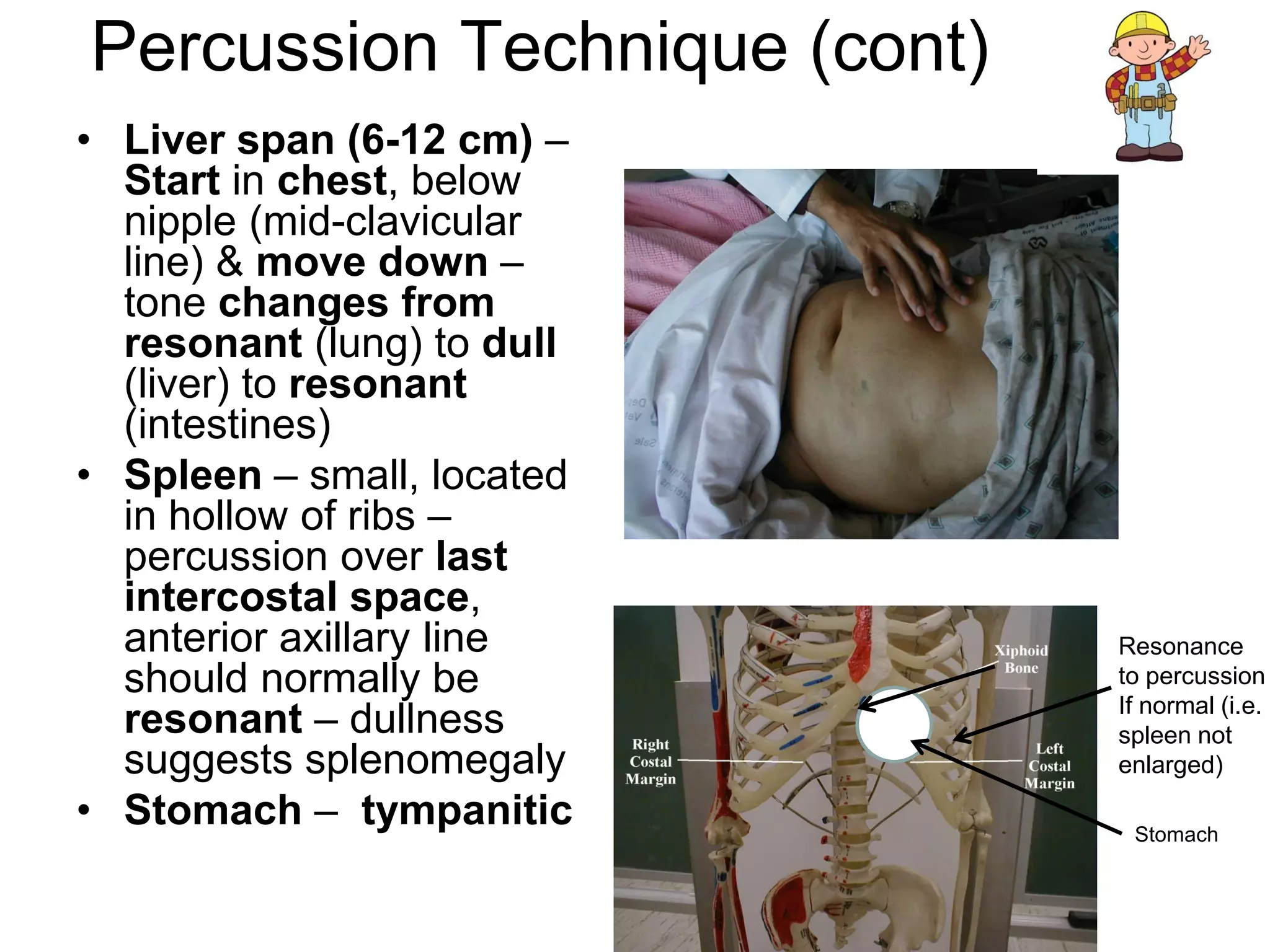 Pe abdominalexam | PDF