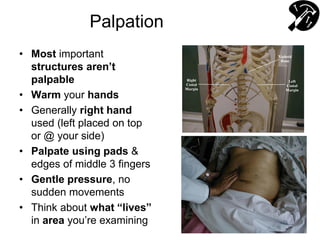 Pe abdominalexam | PPT