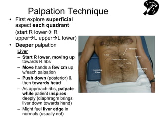 Pe abdominalexam | PPT