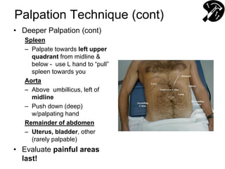 Pe abdominalexam | PPT