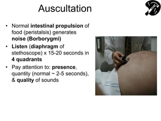 Pe abdominalexam | PDF