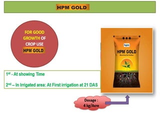 Pea Timeline by HPMIndia | PPT