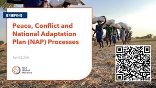 Peace-Conflict-and-National-Adaptation-Plan-NAP-Processes-.pdf