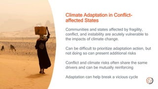 Peace, Conflict and National Adaptation Plan (NAP) Processes | PPTX