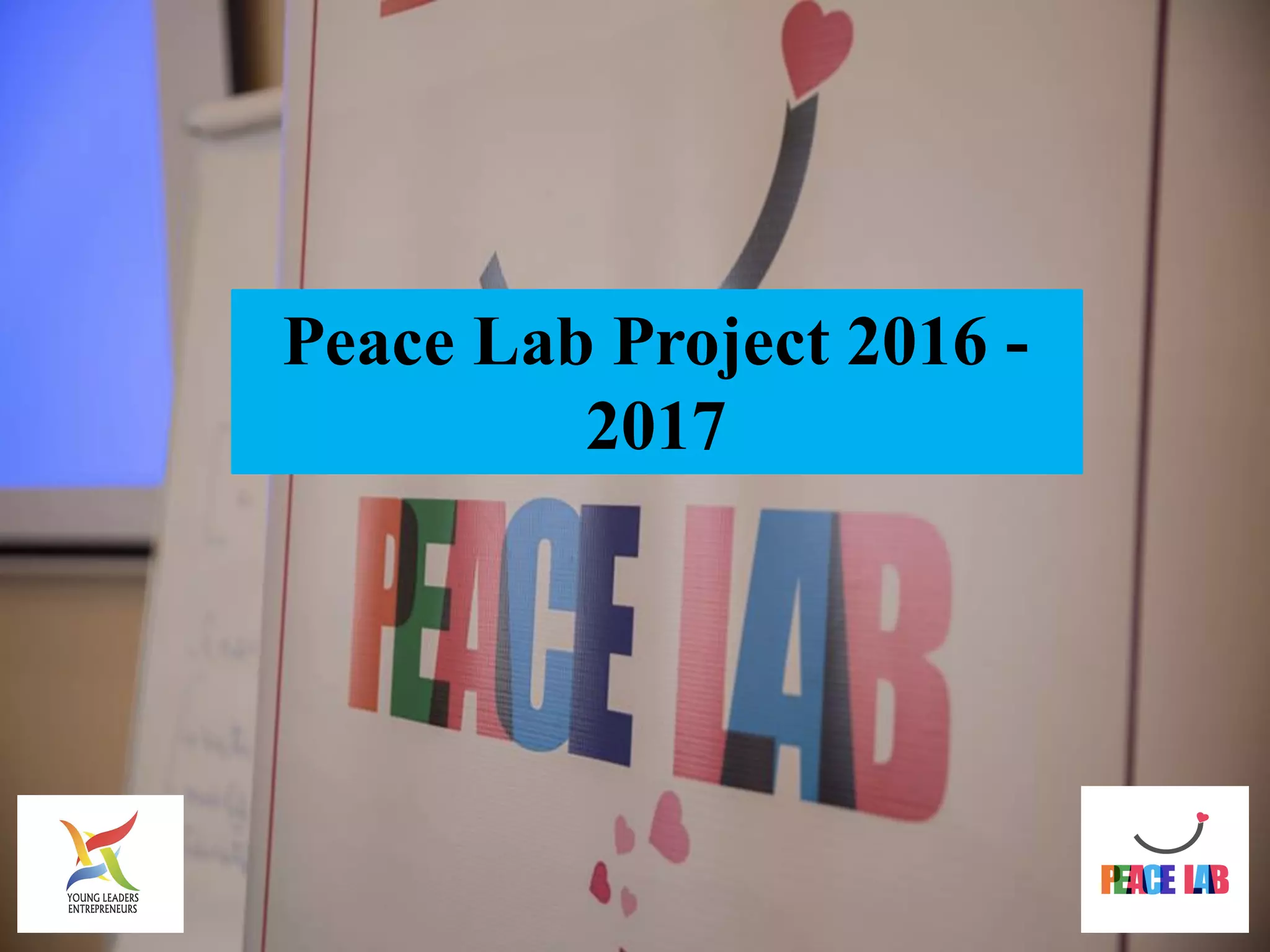 Peace lab project report | PDF