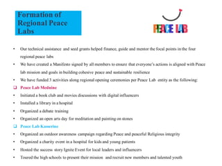 Peace lab project report | PPT
