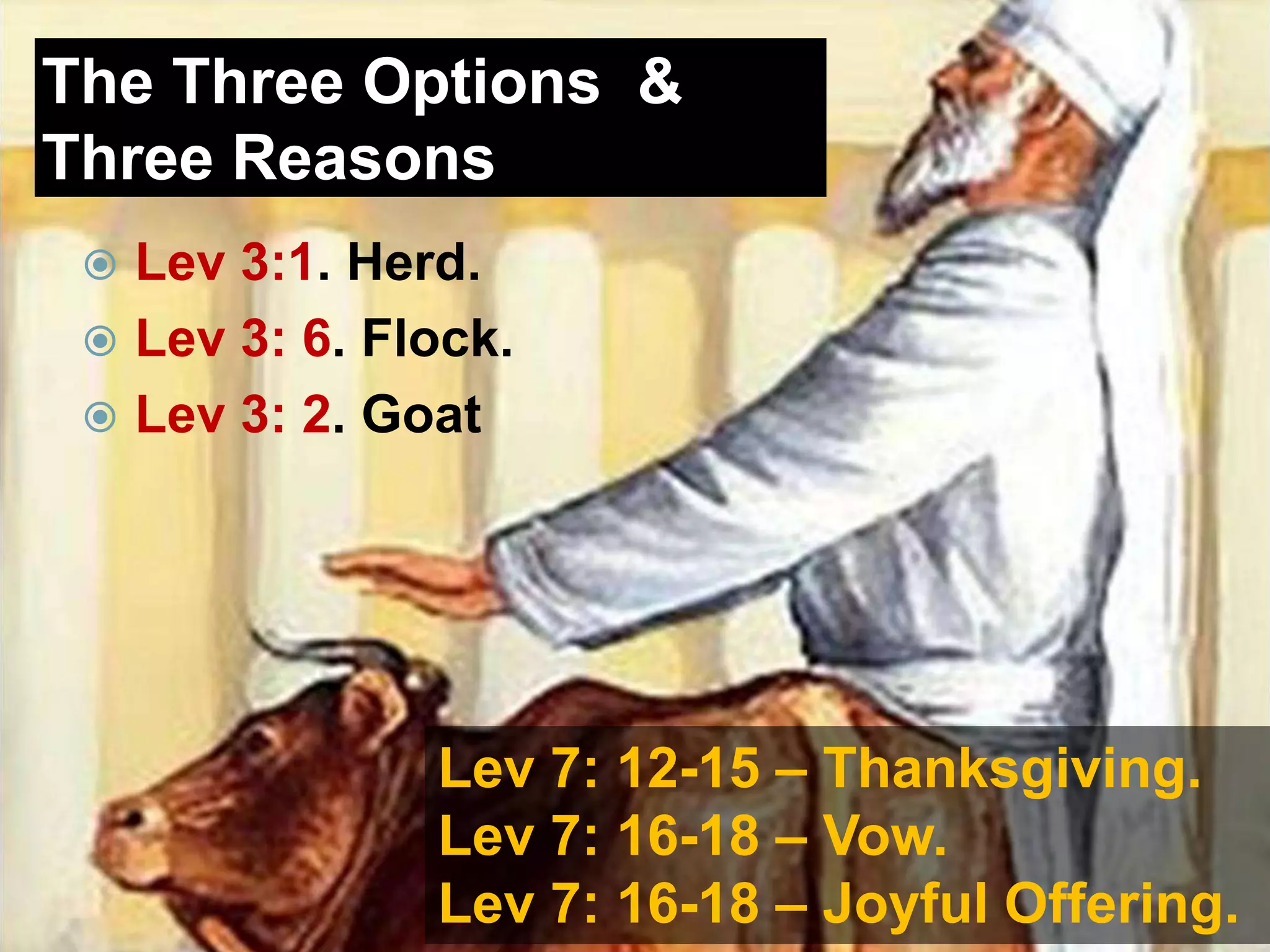The Offerings - The Peace Offering | PPTX