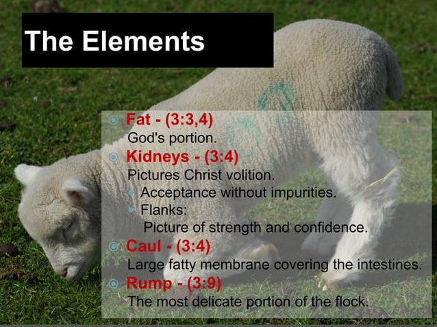 The Offerings - The Peace Offering | PPTX