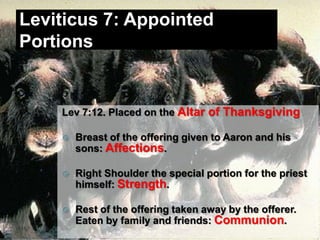 The Offerings - The Peace Offering | PPTX