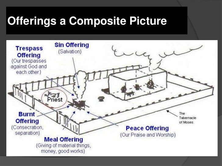 The Offerings - The Peace Offering