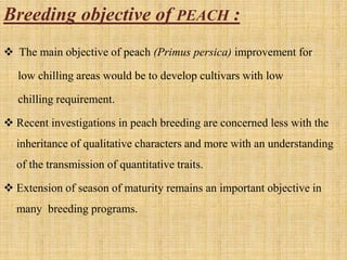 Peach | PPTX