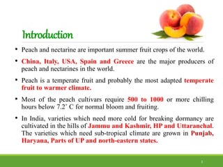 Peach breeding | PPTX