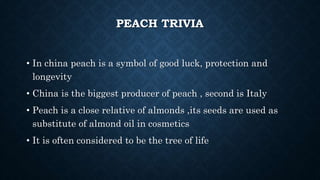 Peach | PPT