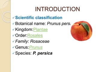 package of practices for peach fruit cultivation | PPTX